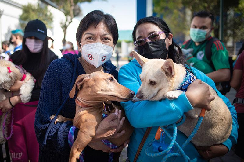 Con caminata perruna, BUAP promueve la salud de las personas y el ...